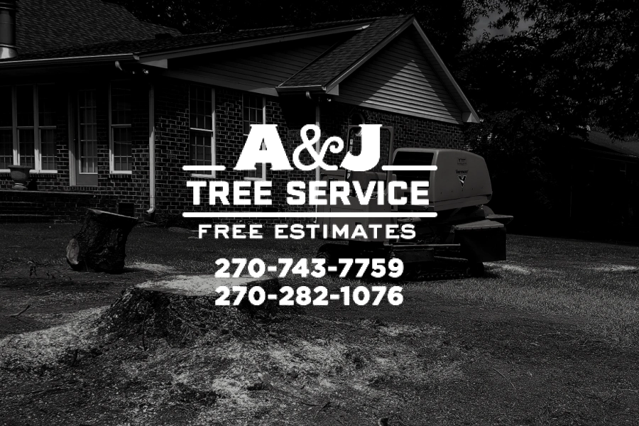 Tree Service Scottsville, KY | Call For a Free Estimate